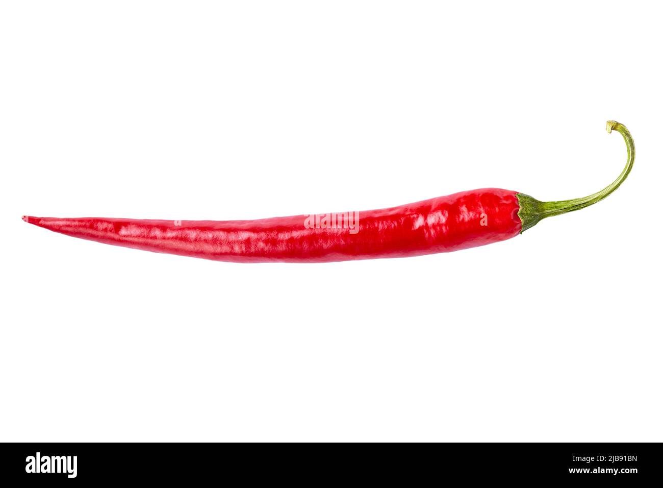 Single chili pepper isolated on white background. Chili hot pepper ...