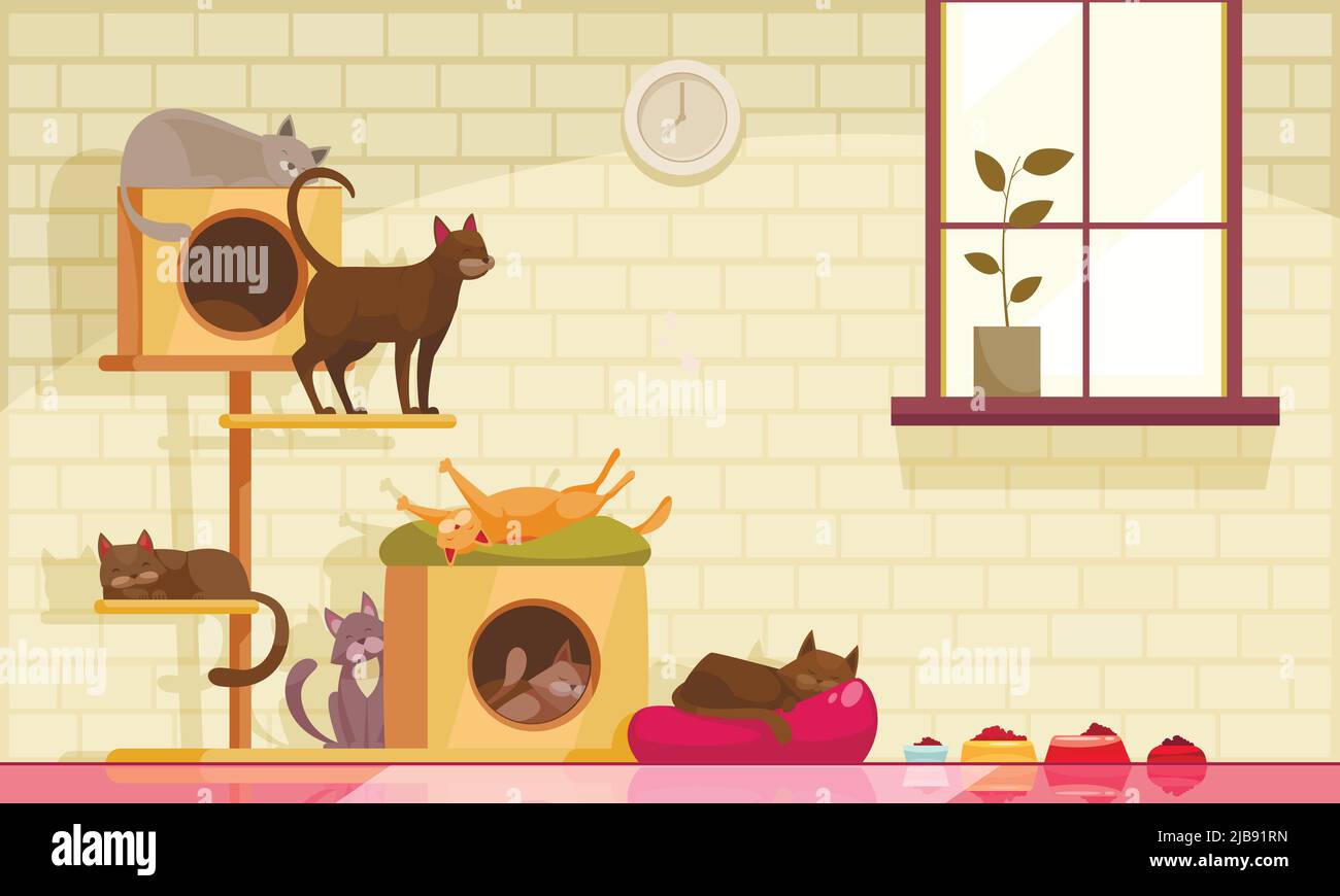 Pet sitter cats composition with indoor view of room with window and ...