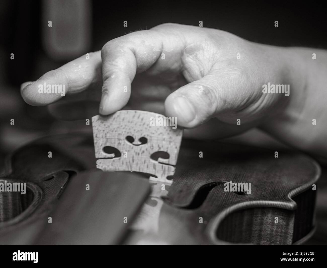 Maple wood violin bridge hi-res stock photography and images - Alamy