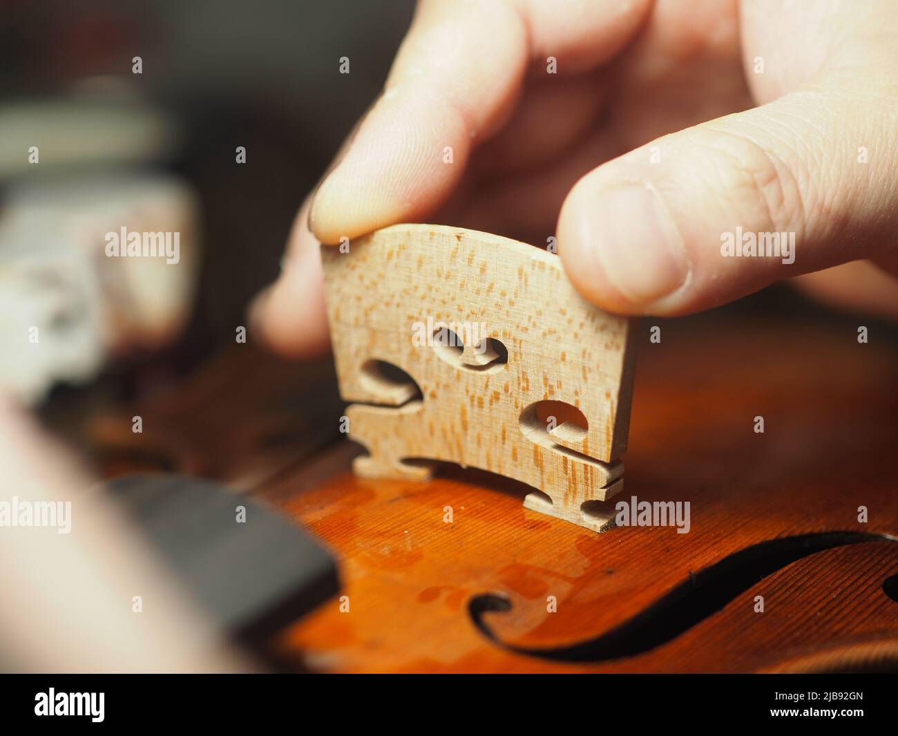 artisan placing the violin, viola, or cello bridge for playability ...