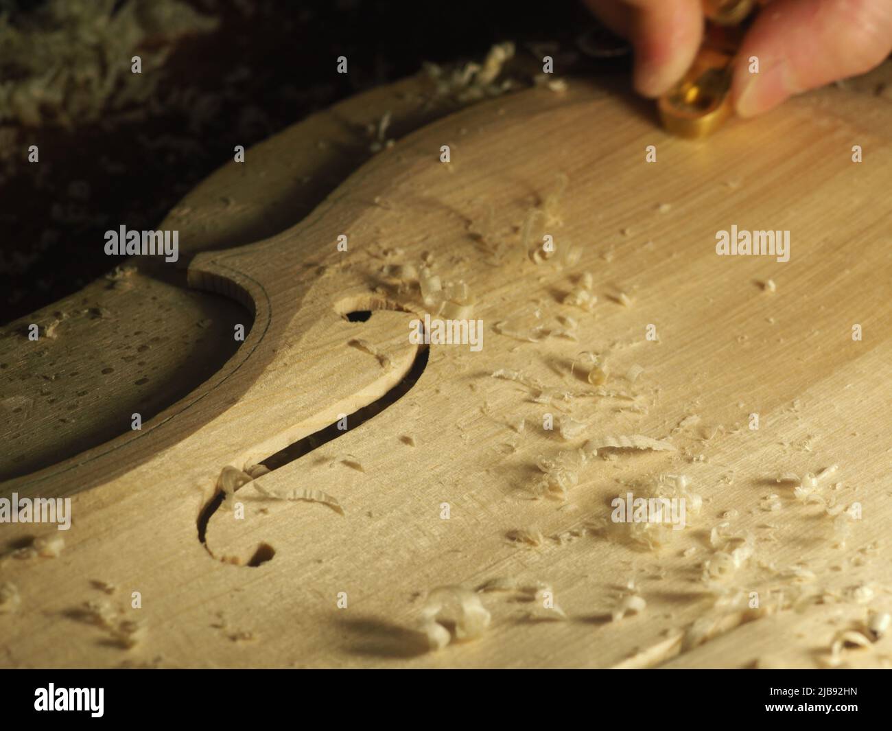 luthier working on raw wood violin plate with finger plane on the bench ...