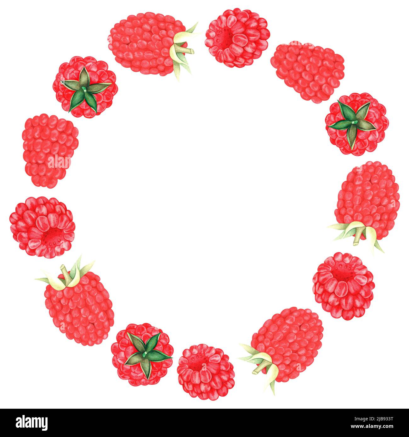 Raspberry wreath. Watercolor illustration. Isolated on a white ...