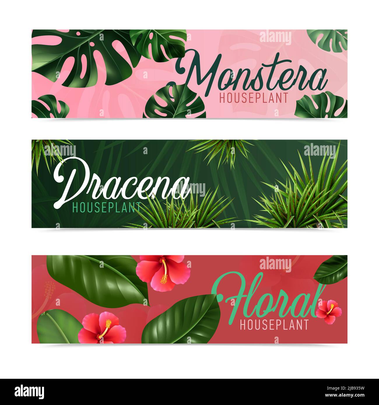 Exotic tropical houseplants 3 realistic colorful background horizontal ...