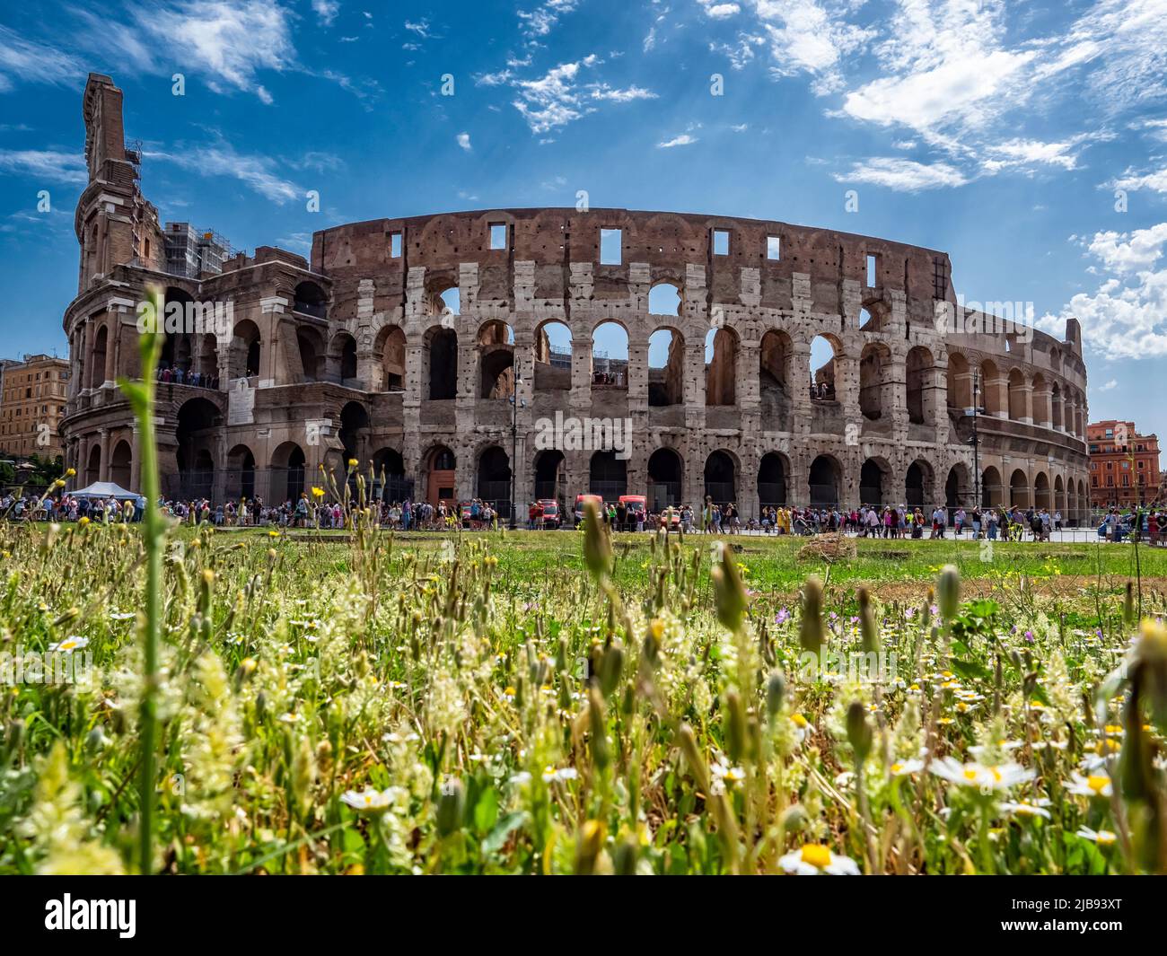 View of the Coliseum of Rome Stock Photo - Alamy