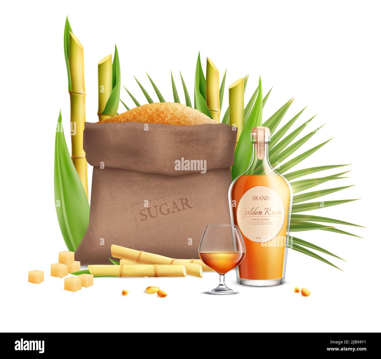 Sugarcane plant Stock Vector Images - Alamy