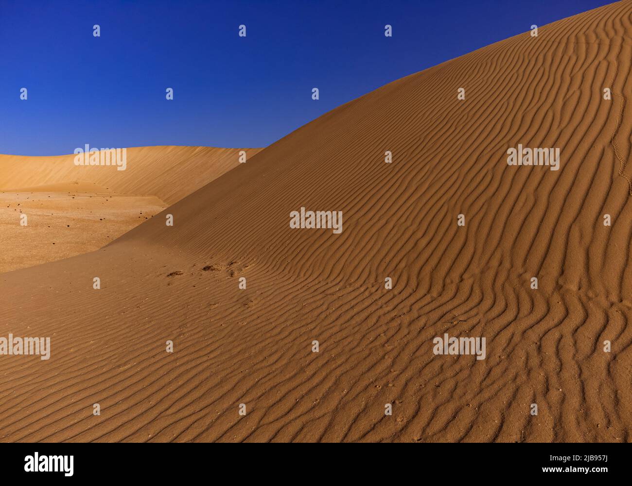 Sand Dune Views over the Parque Natural Corralejo Fuerteventura Stock ...
