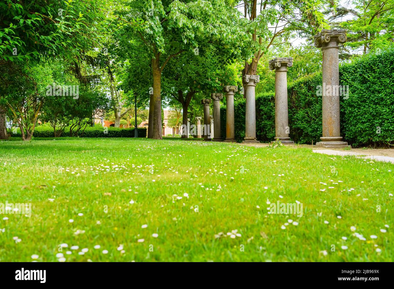 Park of lush vegetation with ancient columns of Roman style Stock Photo ...