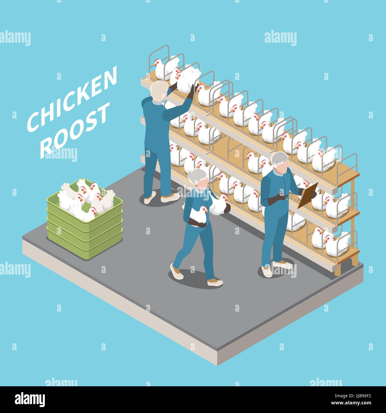 Chicken roost in poultry farm blue background with staff inspecting and ...