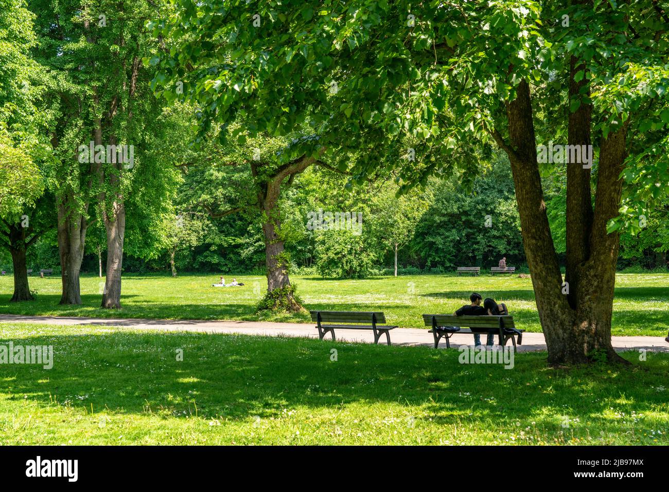 Kaiser Wilhelm Park, park in Essen-Altenessen, Essen, NRW, Germany ...