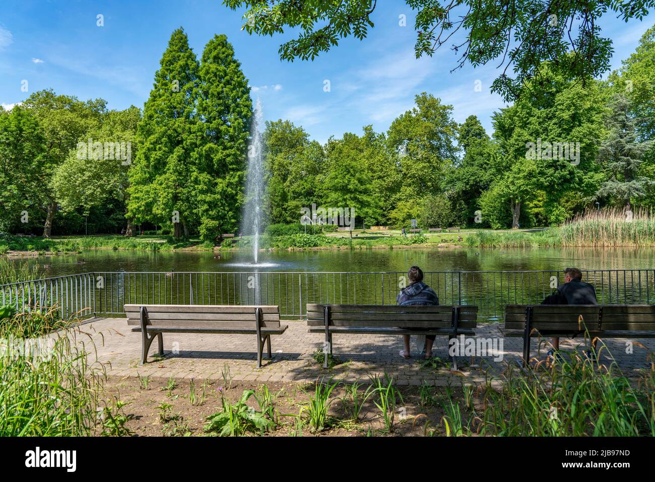 Kaiser Wilhelm Park, park in Essen-Altenessen, Essen, NRW, Germany ...