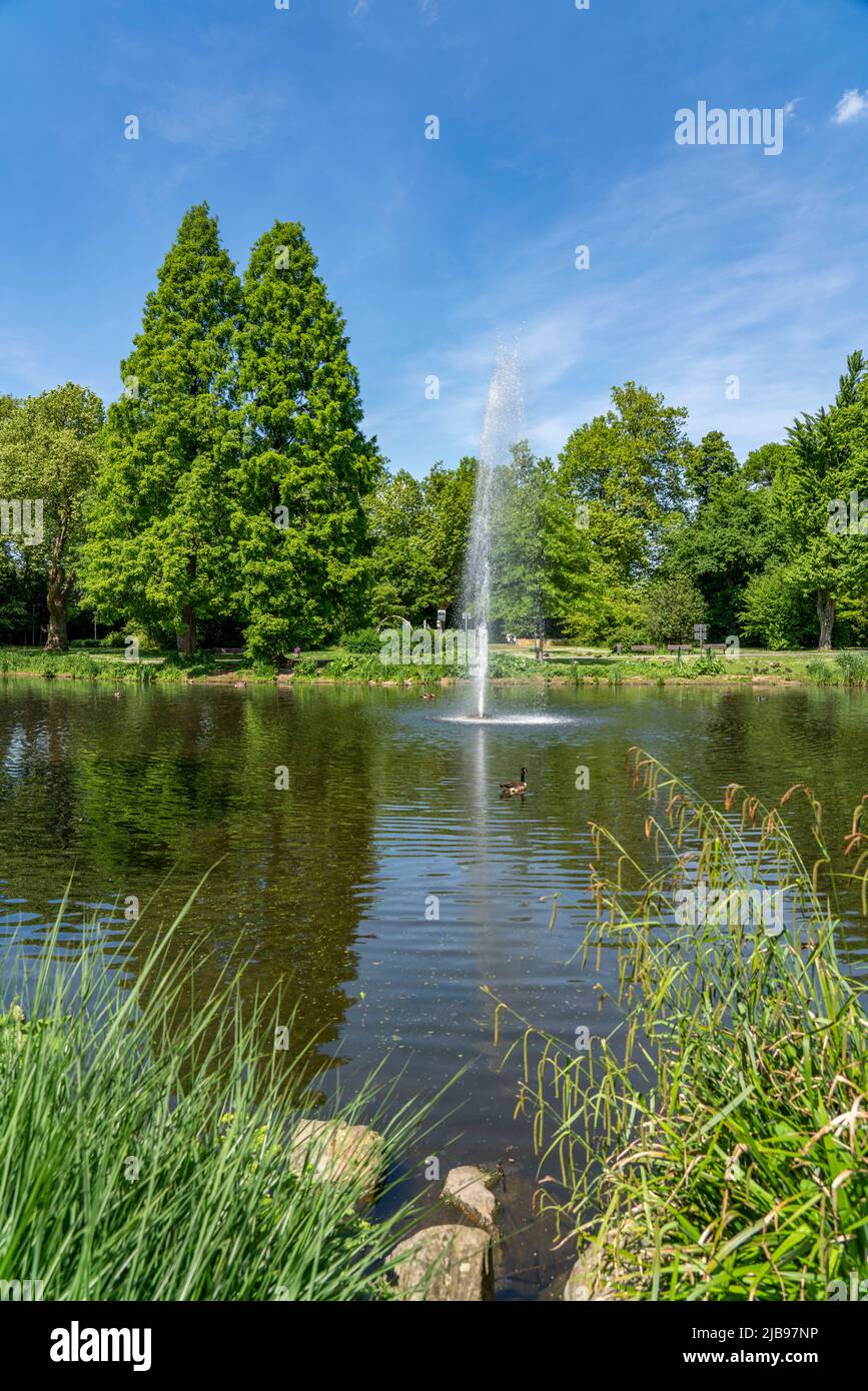 Kaiser Wilhelm Park, park in Essen-Altenessen, Essen, NRW, Germany ...