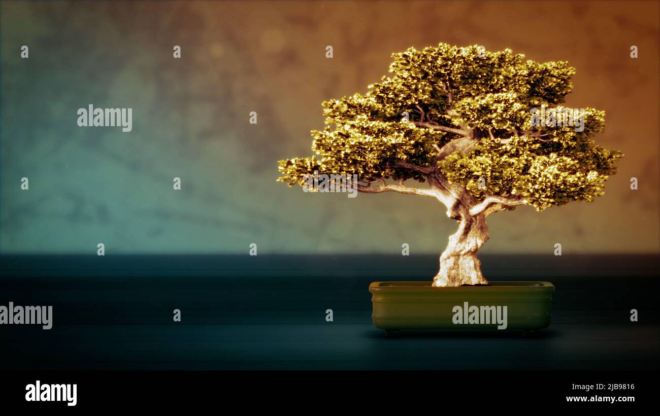Japanese bonsai tree in dark room with free place on side - nature 3D ...
