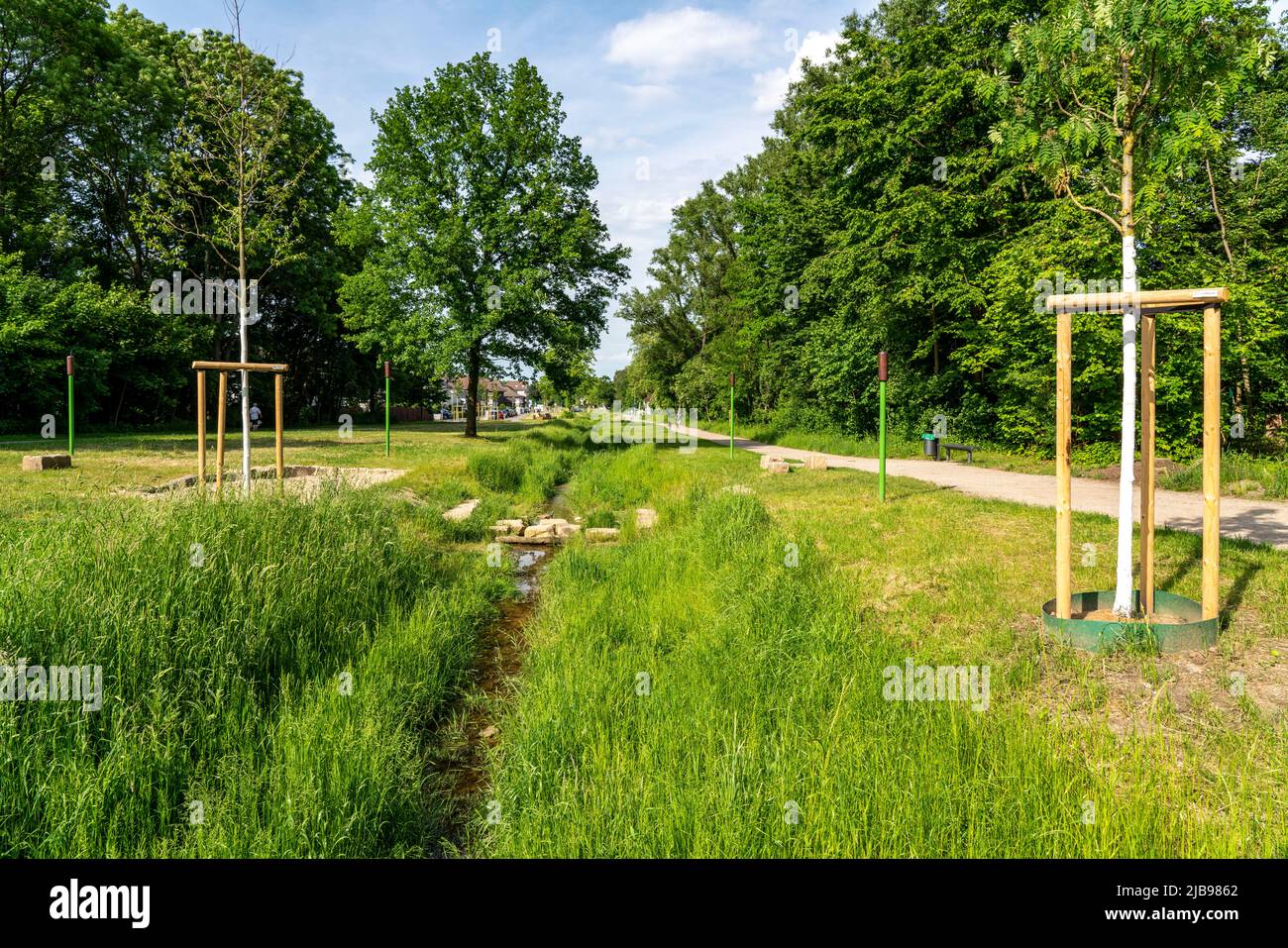 The Katernberger Bach, for over 40 years the stream was piped, 1.2 km ...