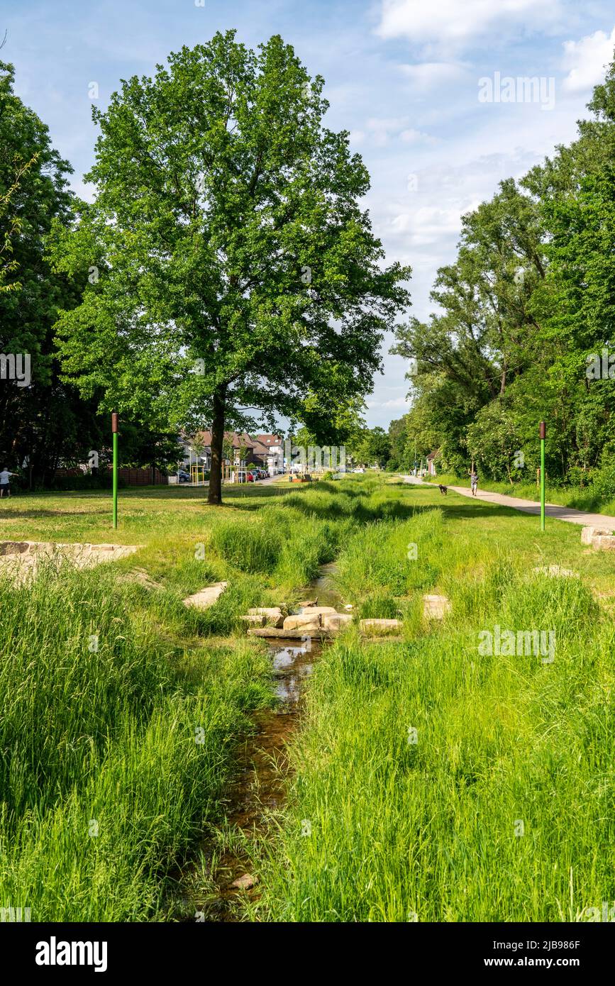 The Katernberger Bach, for over 40 years the stream was piped, 1.2 km ...