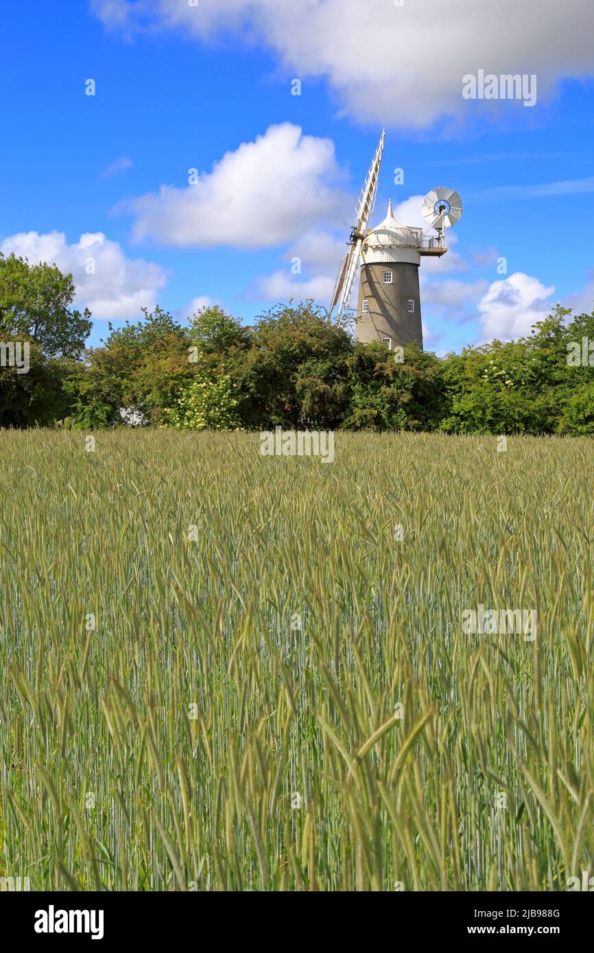 Great bircham windmill hi-res stock photography and images - Alamy