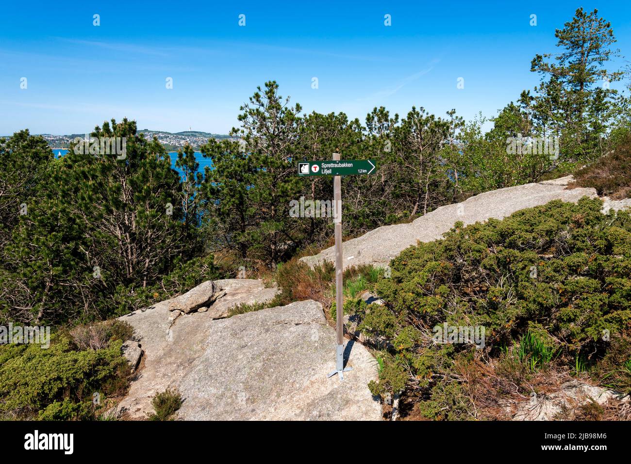 A wooden post on a marked hiking trek with a direction arrow and ...
