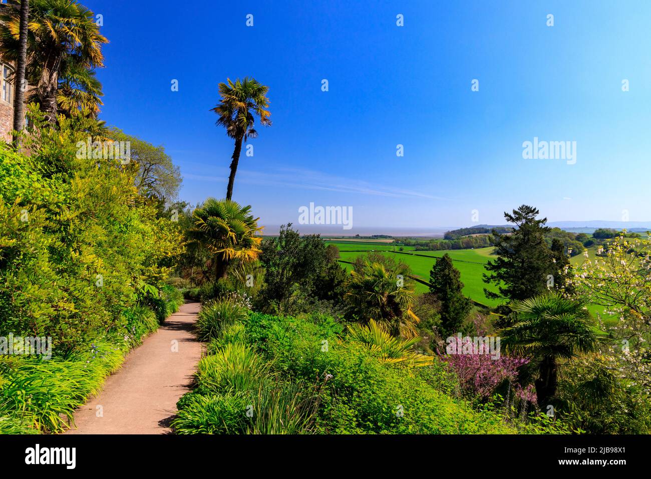 A view across some of the varied sub tropical gardens on the slopes of ...