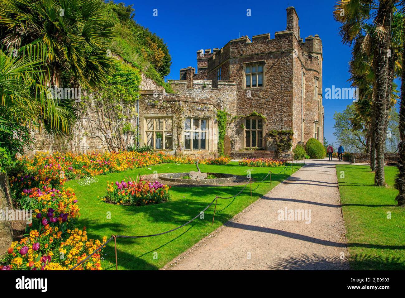 A colourful collection of spring bulbs and flowers on the South Terrace ...