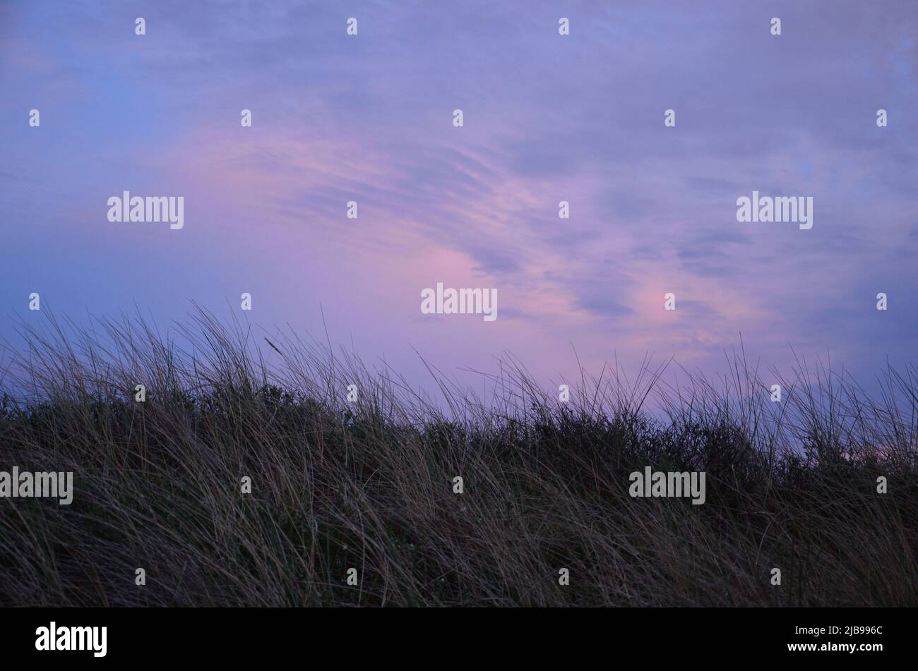 Sunset sky at blue hour background, sand dunes with grass in front ...