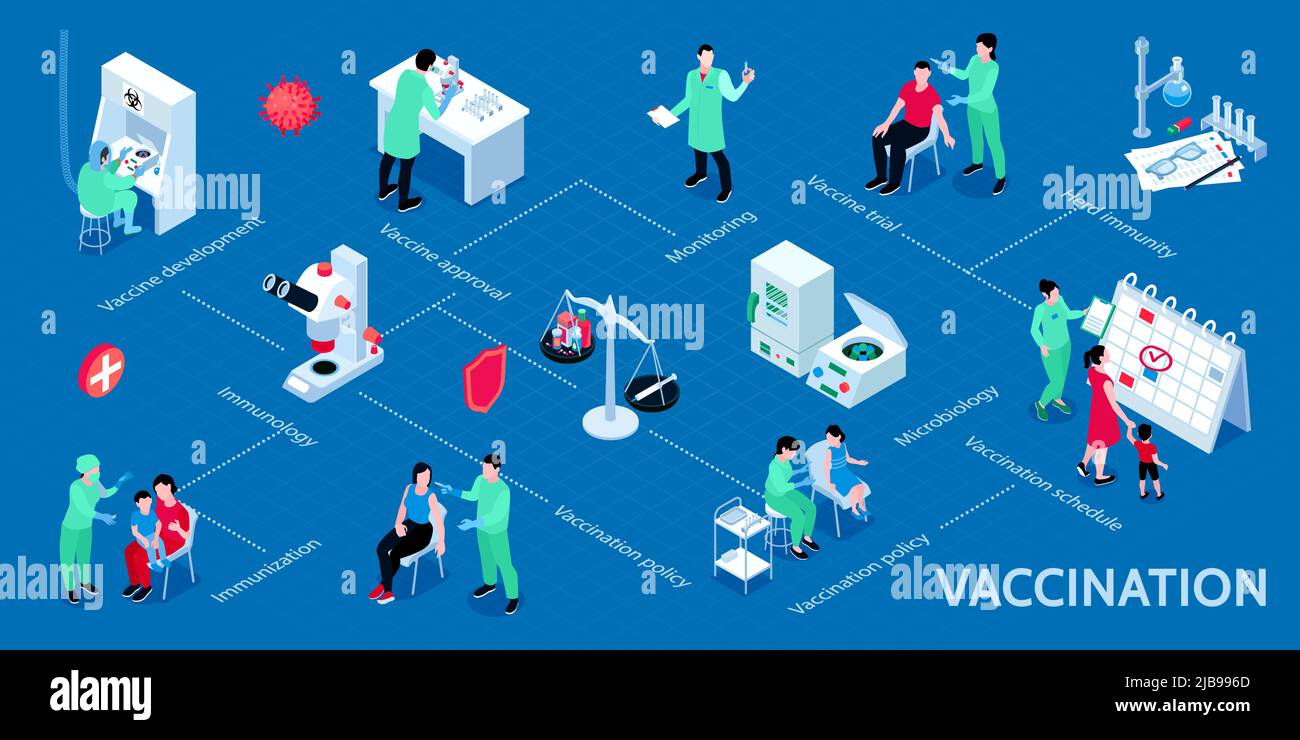 Vaccination isometric infographics scheme from approval immunization to ...