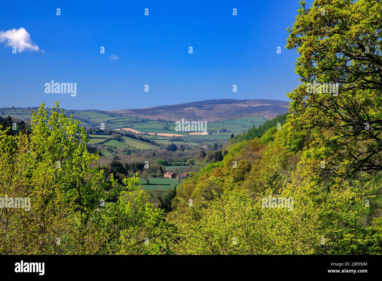 Dunkery Beacon - the highest point in Somerset and Exmoor, viewed from ...