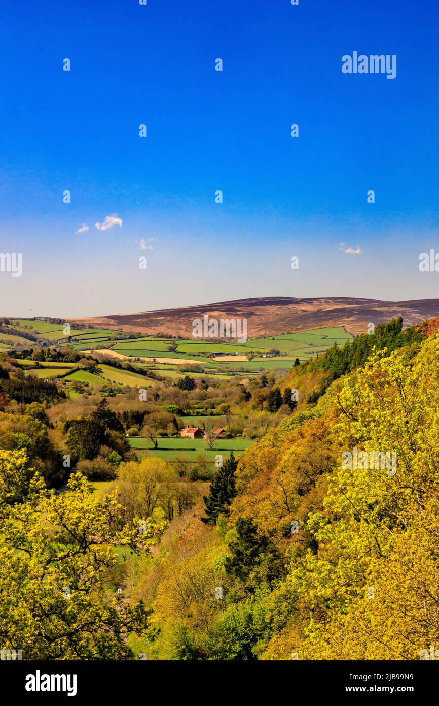 Dunkery Beacon - the highest point in Somerset and Exmoor, viewed from ...