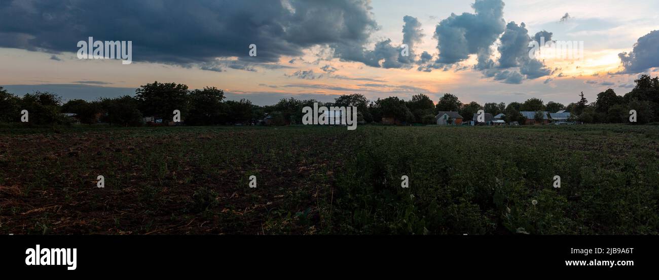 A real sunset sky with beautiful light clouds and sun rays, without ...