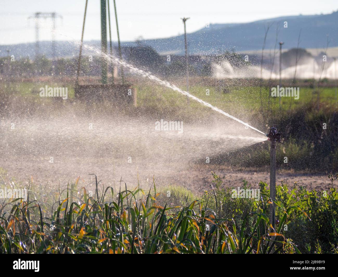 Irrigation system in ecological seedling agricultural plants. HD image ...