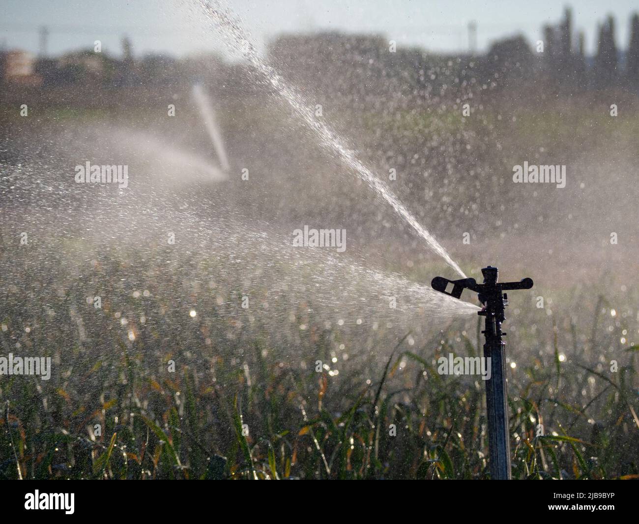Irrigation system in ecological seedling agricultural plants. HD image ...