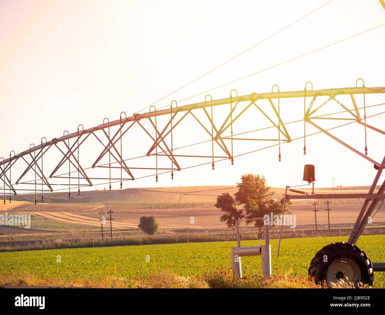 A center pivot sprinkler watering a sustainable farm.. High quality ...