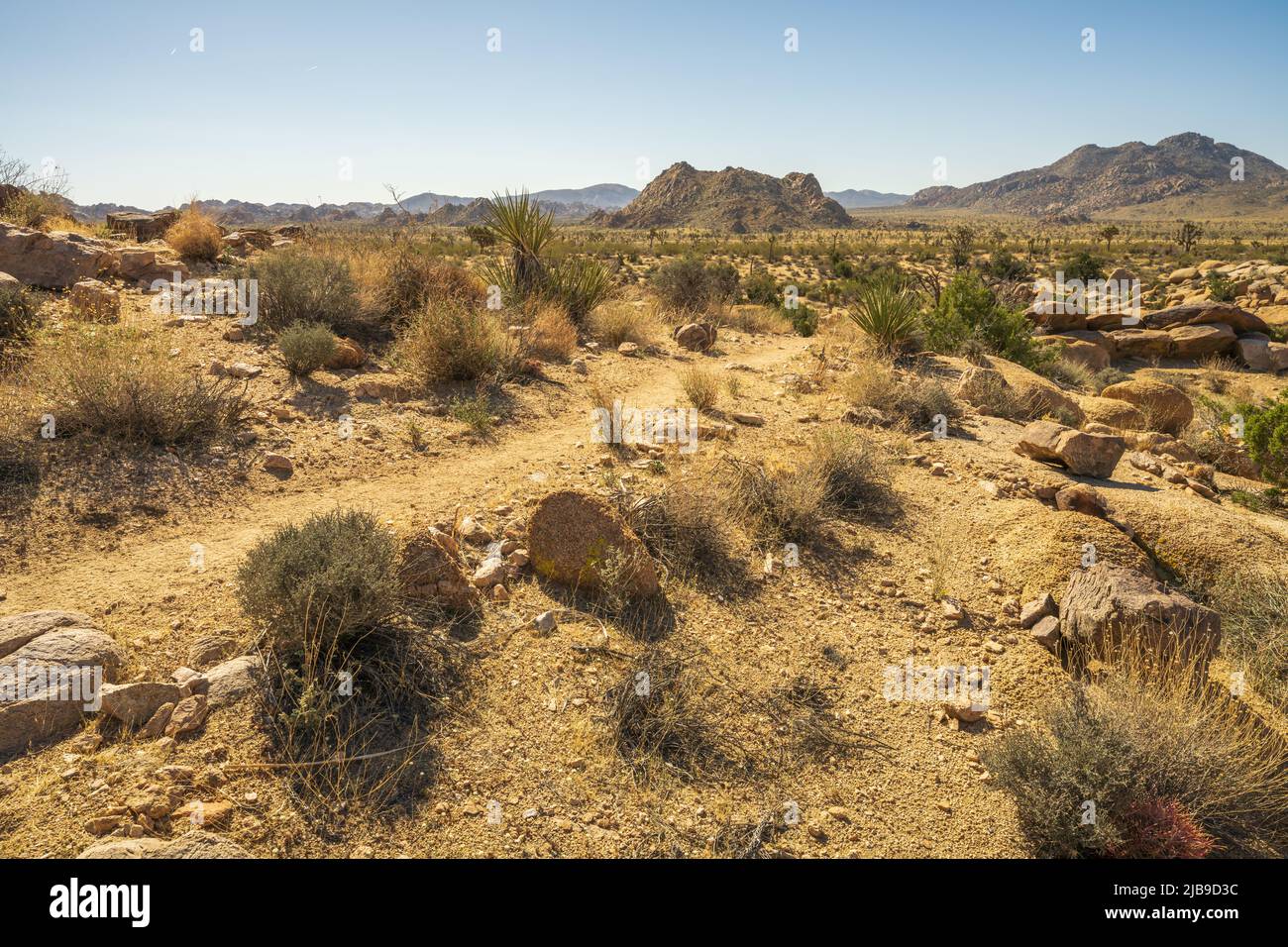 hiking the maze loop in joshua tree national park in california, usa ...