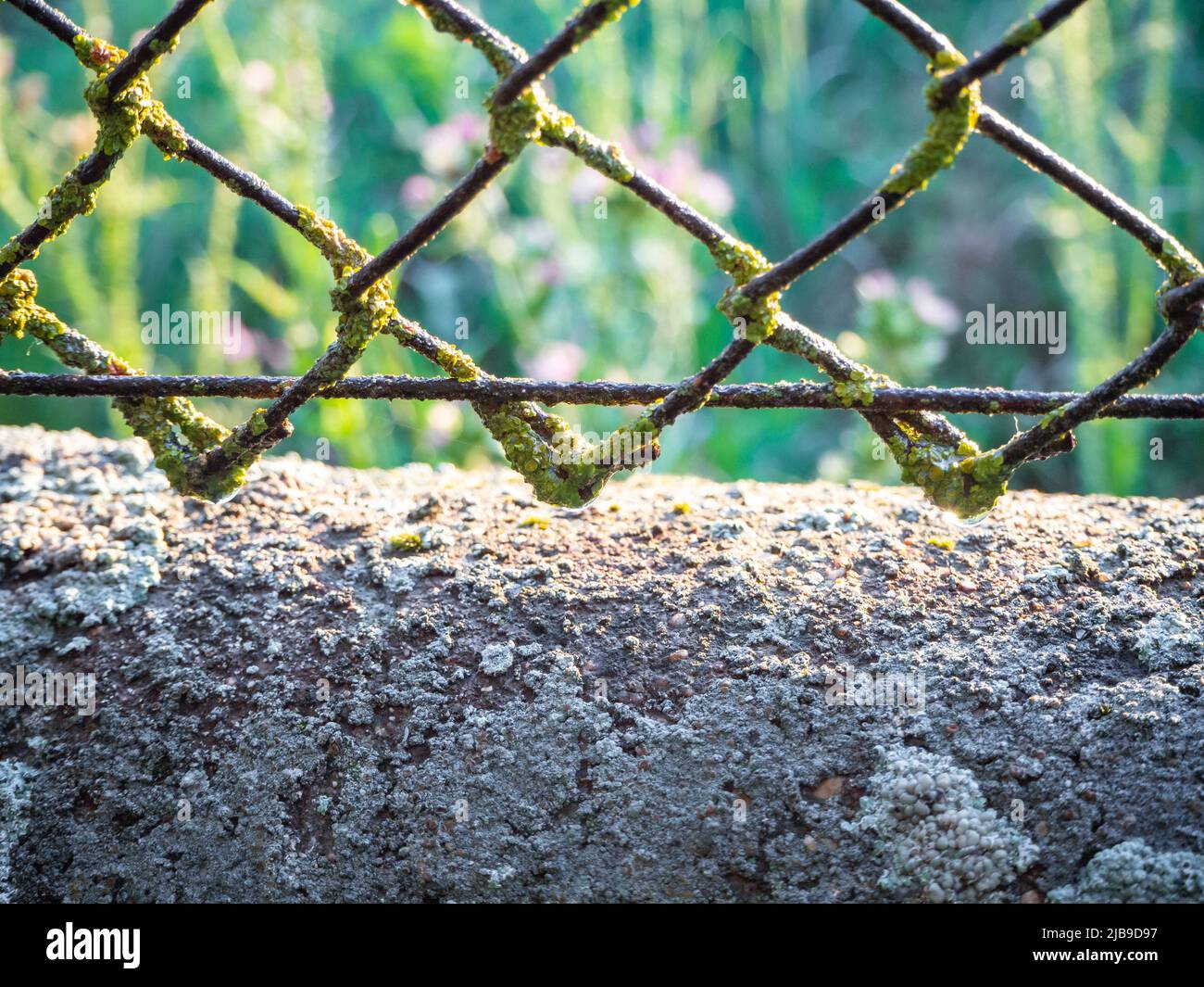 wire mesh fence weathered by the passage of time. HQ image Stock Photo ...