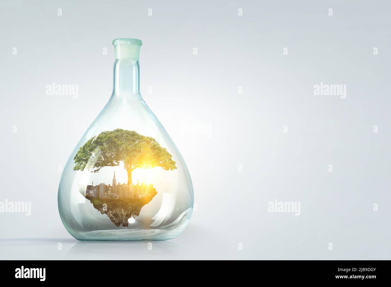Tree growing inside clear glass bottle Stock Photo - Alamy