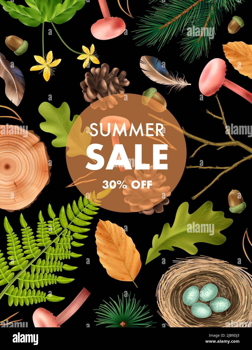 Acorn images Stock Vector Images - Alamy