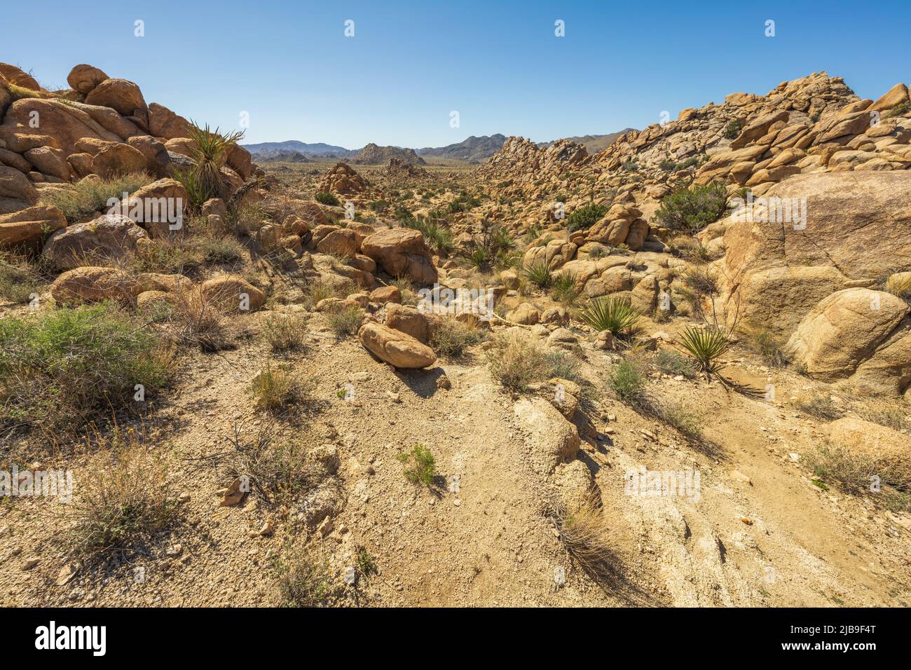 hiking the maze loop in joshua tree national park in california, usa ...