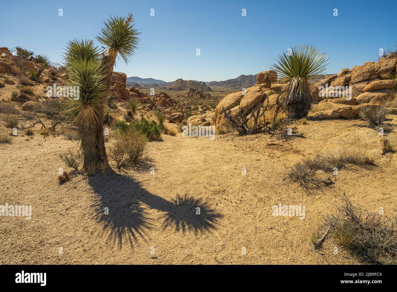 hiking the maze loop in joshua tree national park in california, usa ...