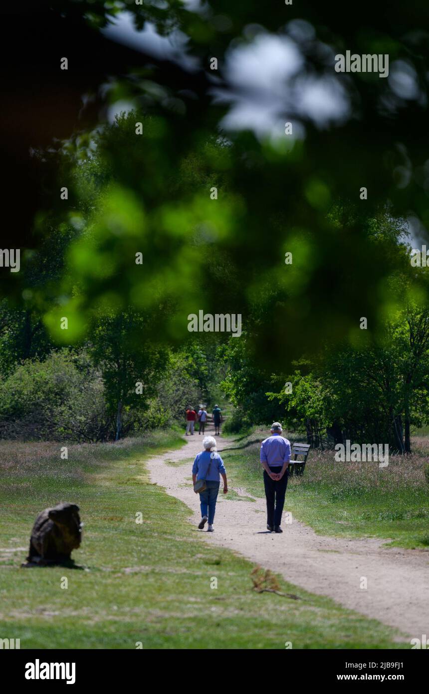 Heber, Germany. 04th June, 2022. Visitors walk through the Lüneburg ...