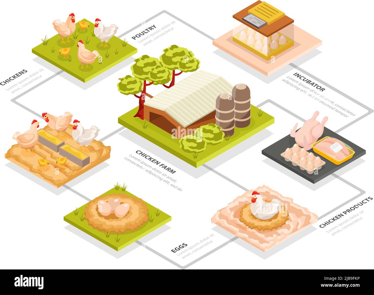 Chicken farm isometric flowchart with set of square platforms images of ...