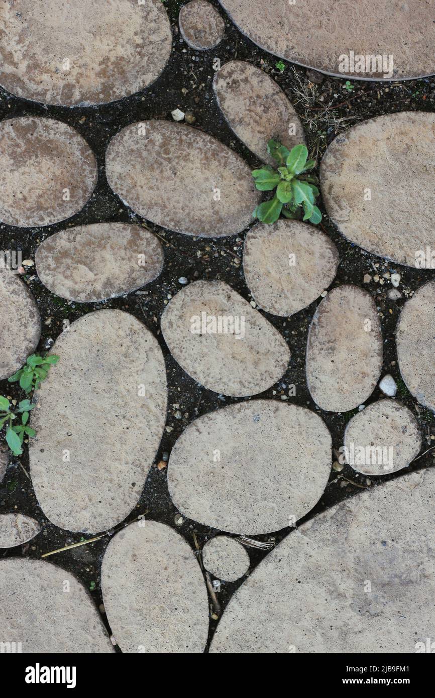 Full frame effect of many river rocks creating a walkway Stock Photo ...