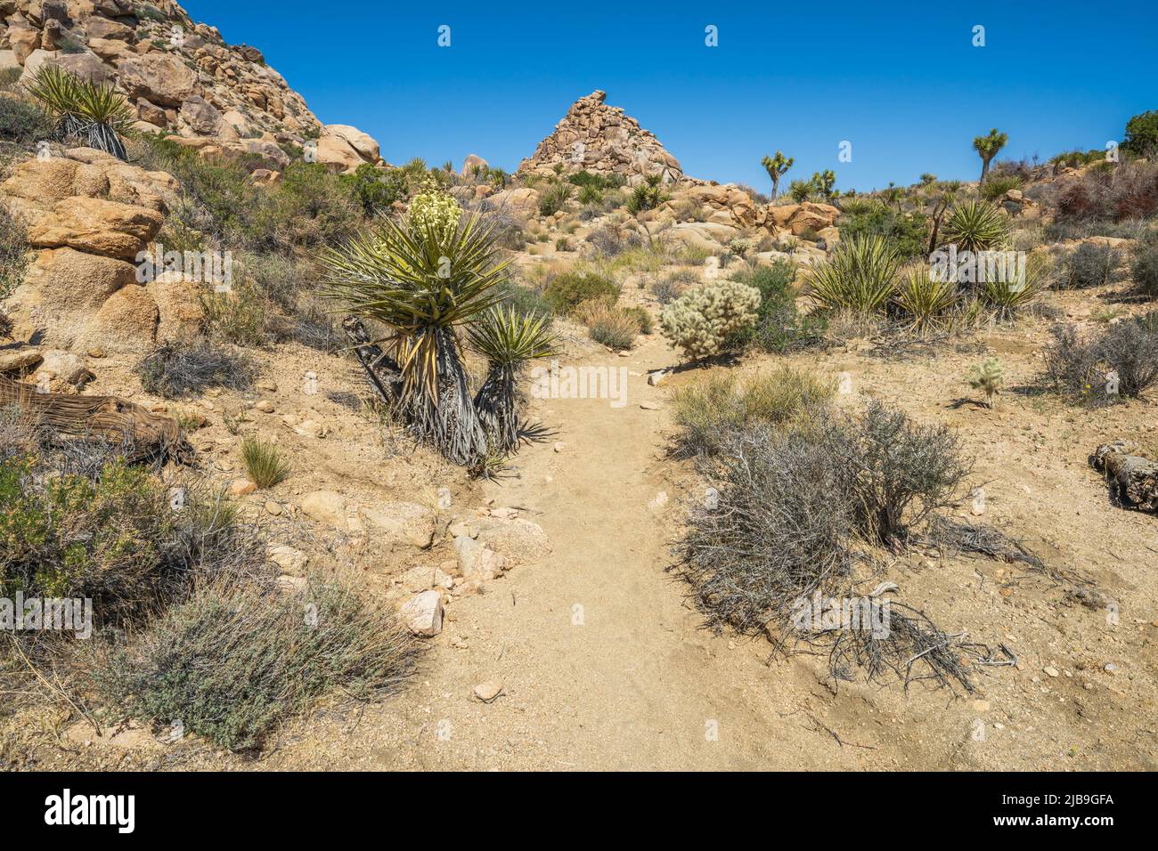 hiking the maze loop in joshua tree national park in california, usa ...