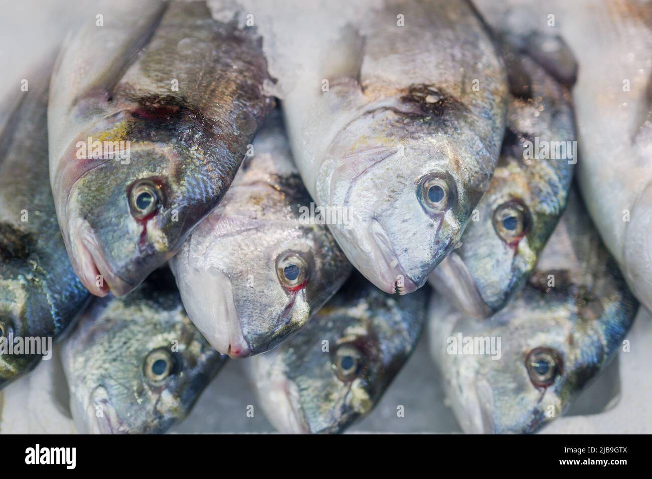 Leeds fish market hi-res stock photography and images - Alamy