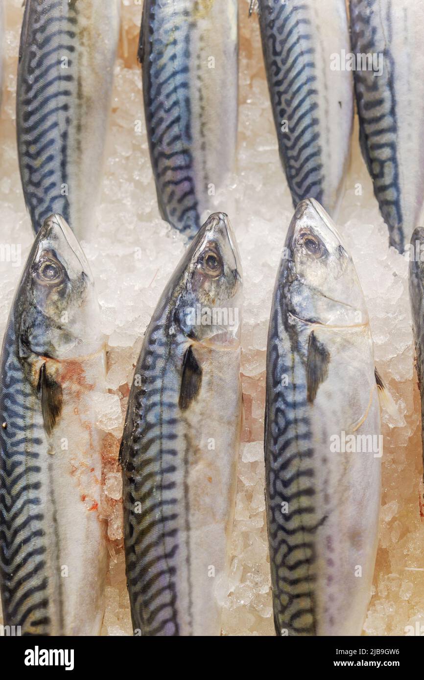 Fish on ice at fishmonger market in Leeds Stock Photo - Alamy