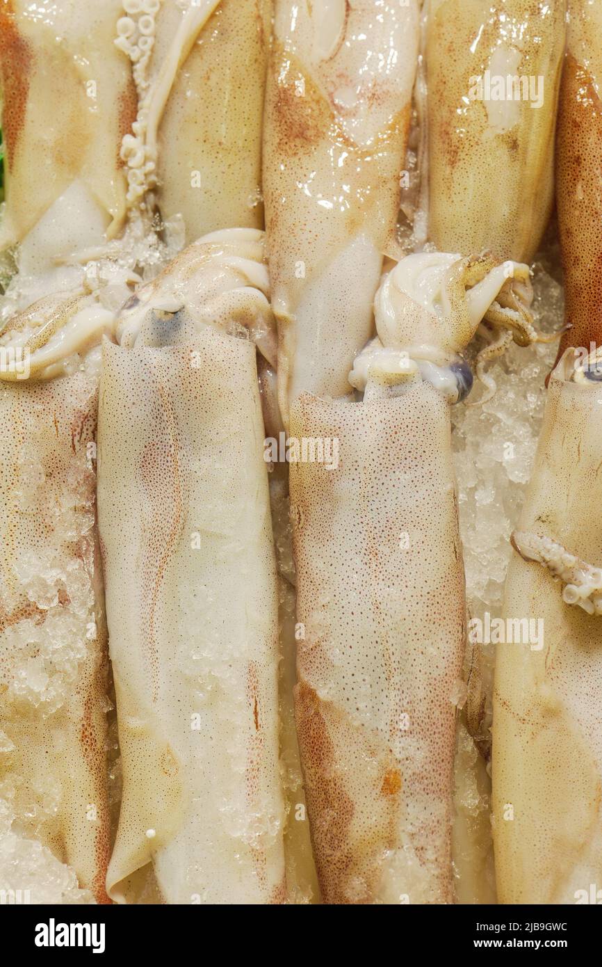 Leeds fish market hi-res stock photography and images - Alamy