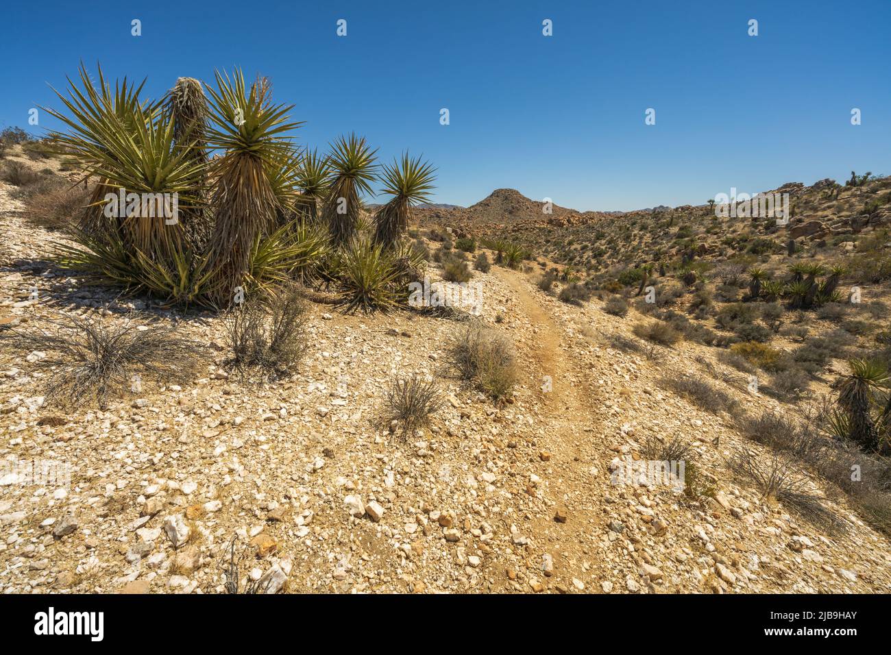 hiking the maze loop in joshua tree national park in california, usa ...