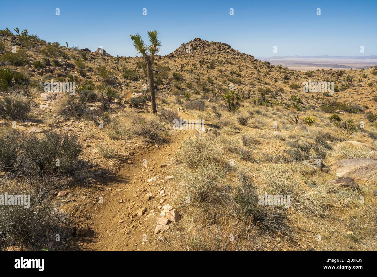 hiking the maze loop in joshua tree national park in california, usa ...