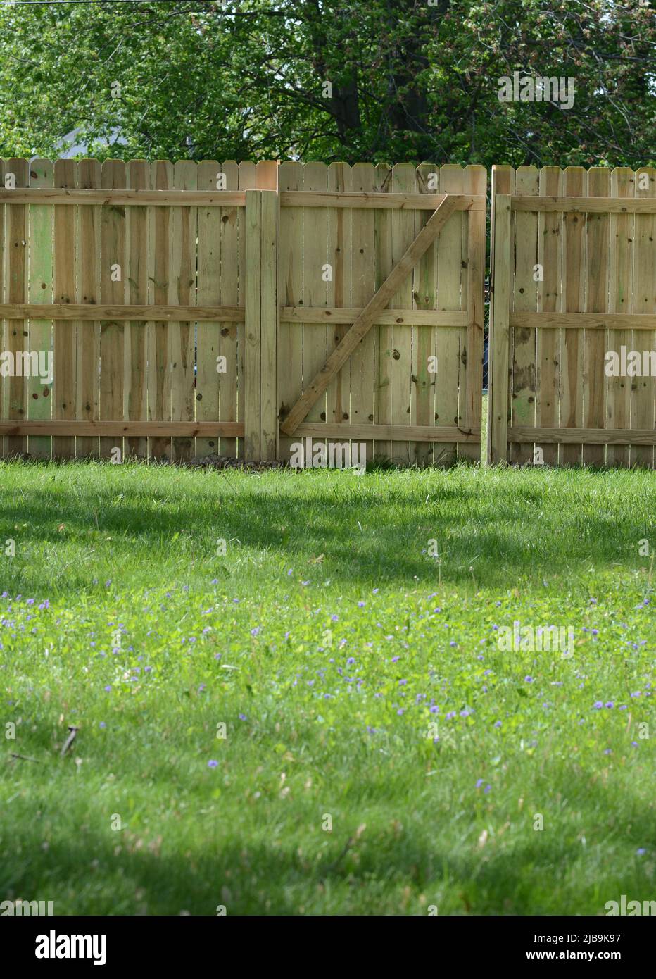 A newly installed 6ft privacy fence made of treated pine. Gate is ...