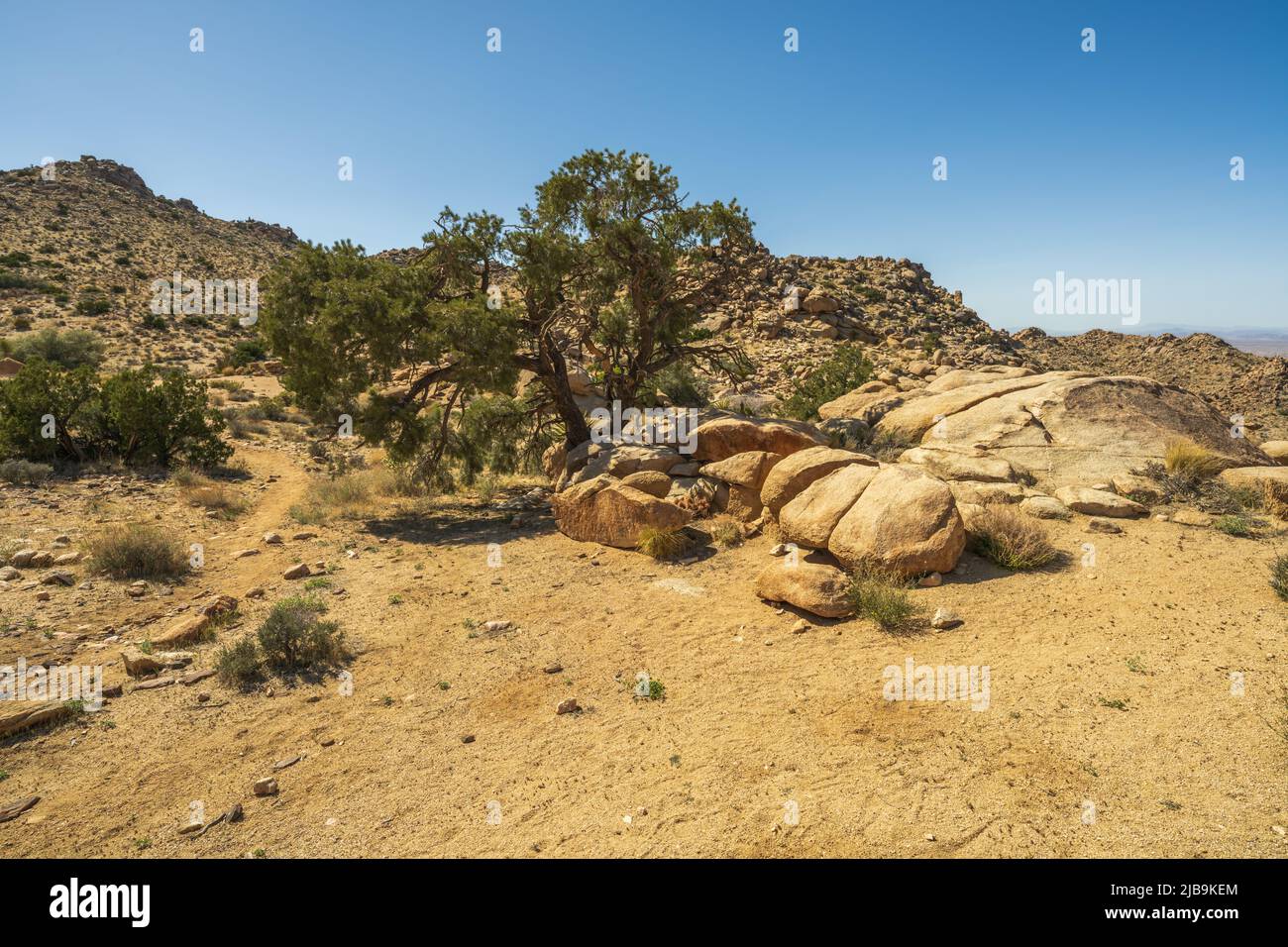 hiking the maze loop in joshua tree national park in california, usa ...