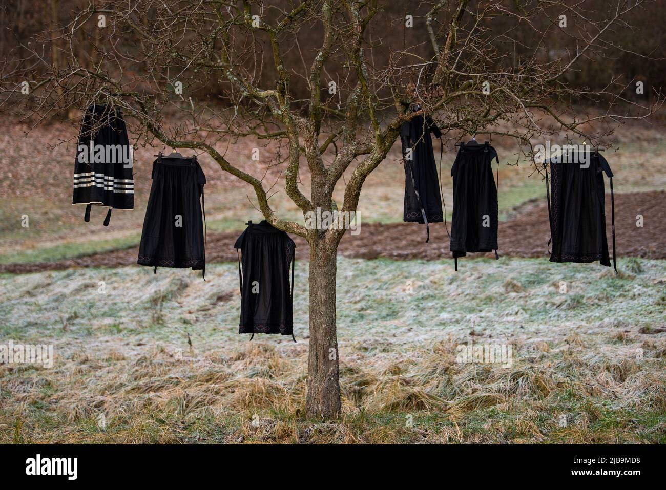 Folk costume in nature. Traditional Slavic suit at a nature exhibition ...