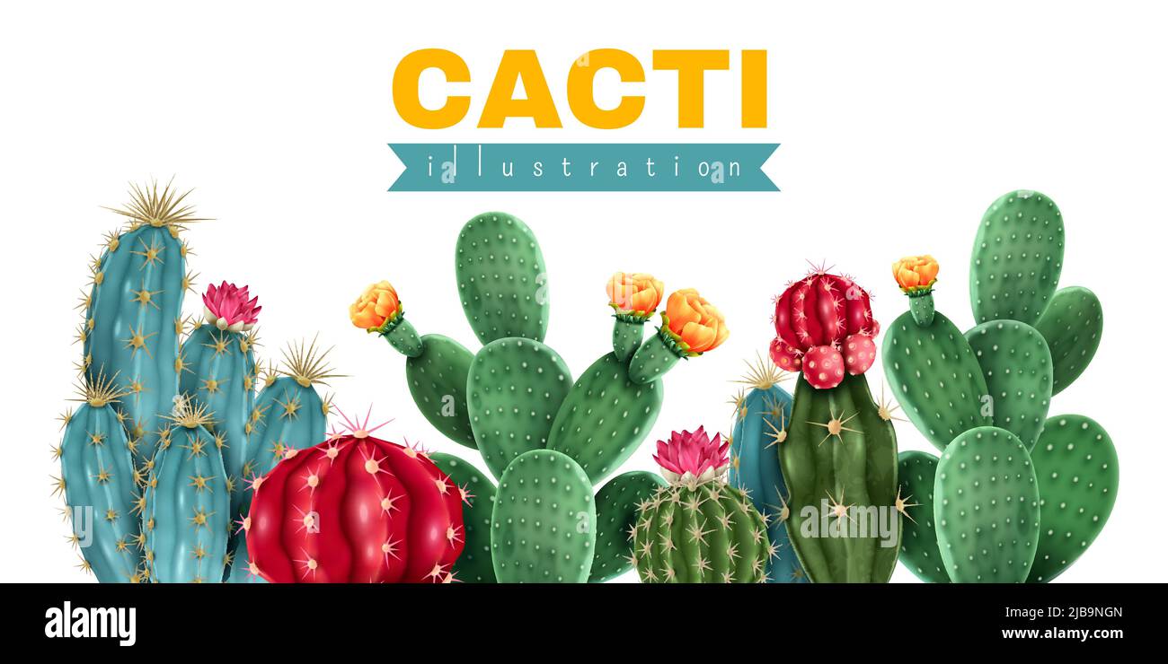 Cacti colored background demonstrated collection of blooming cactuses ...