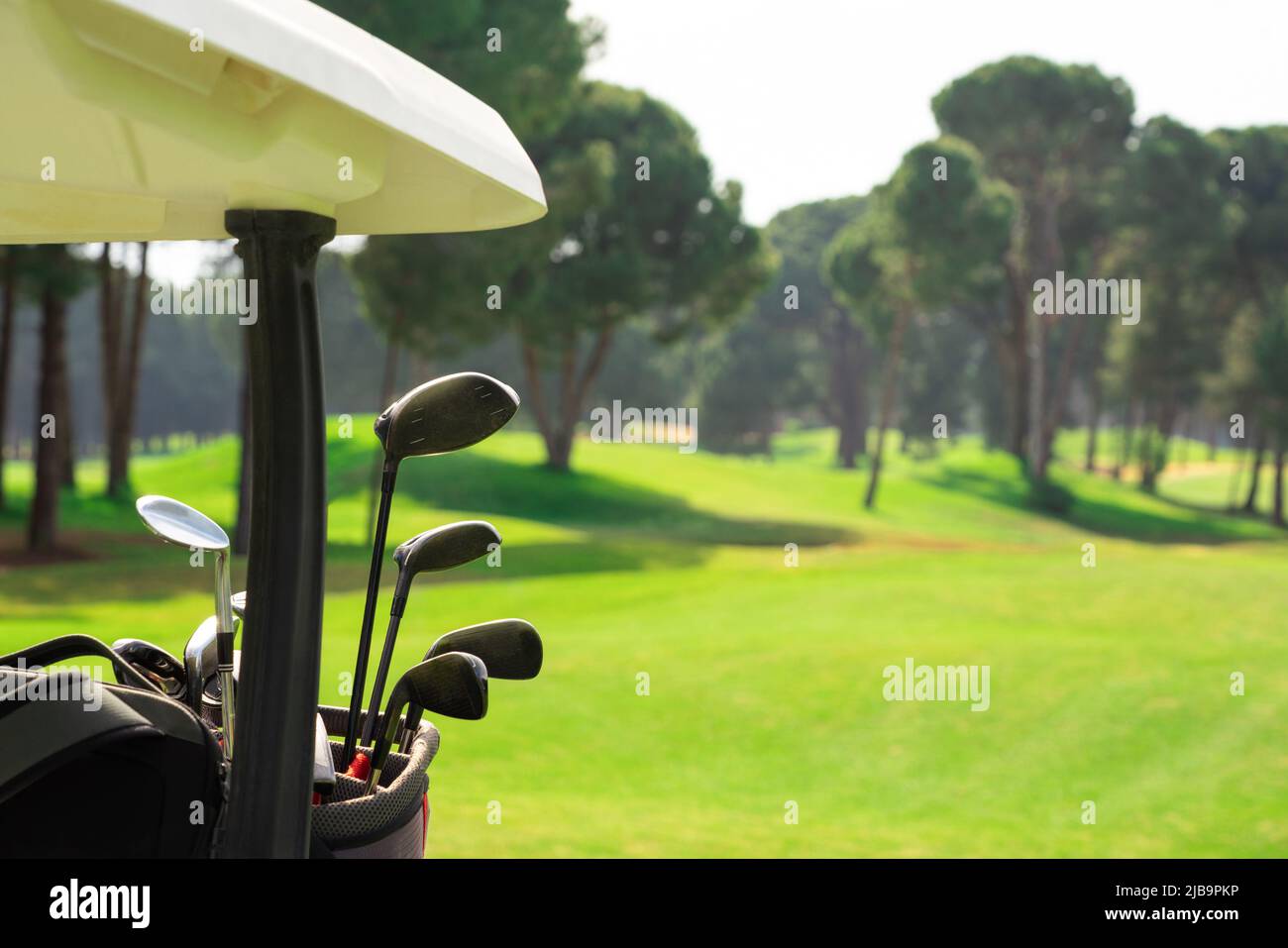 Set of golf clubs in golf bags in the back of a golf cart on a ...